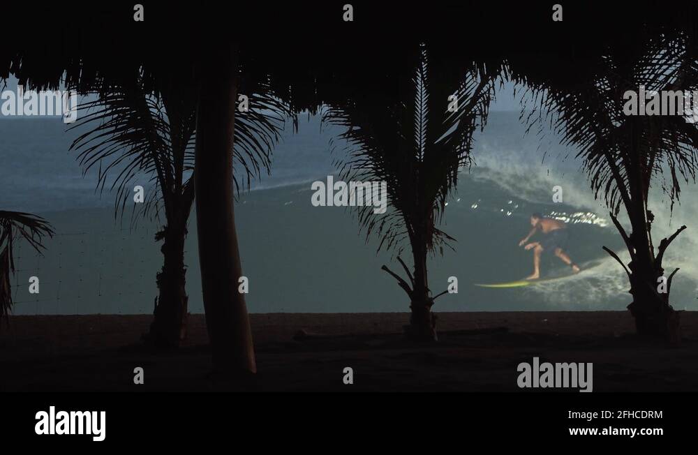 Surfers riding Waves with Palm Trees in front Stock Video Footage - Alamy
