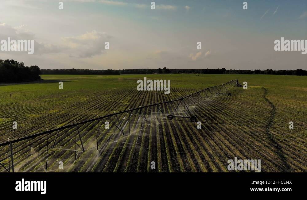 Over irrigation Stock Videos & Footage - HD and 4K Video Clips - Alamy