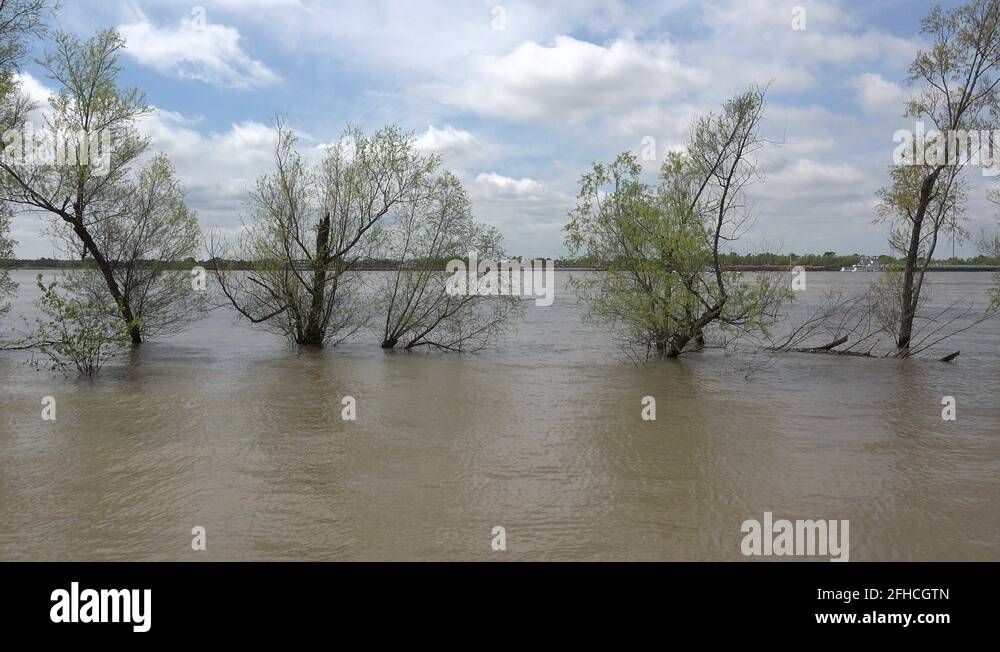 Log river flood Stock Videos & Footage - HD and 4K Video Clips - Alamy
