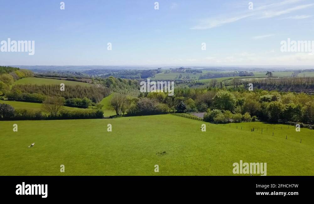 North devon forest Stock Videos & Footage - HD and 4K Video Clips - Alamy