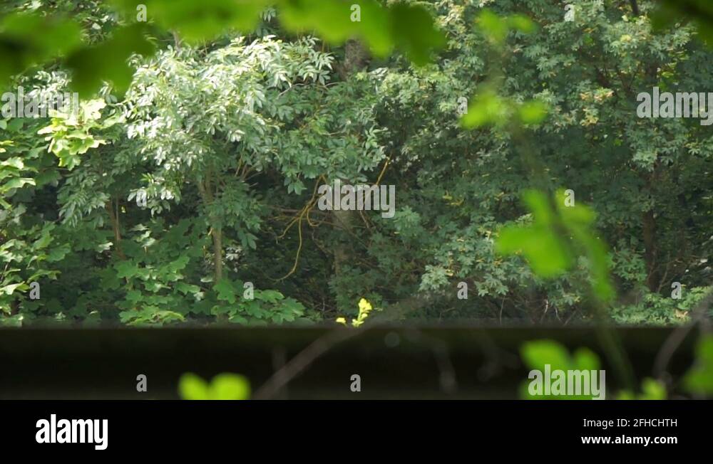 Cars zooming past Stock Videos & Footage - HD and 4K Video Clips - Alamy