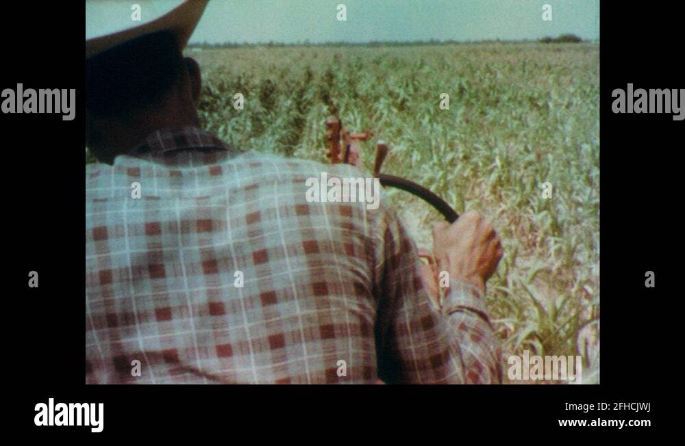 Sky rear view Stock Videos & Footage - HD and 4K Video Clips - Alamy