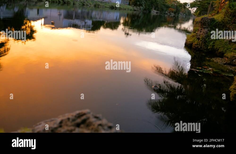 Rainwater falling Stock Videos & Footage - HD and 4K Video Clips - Alamy