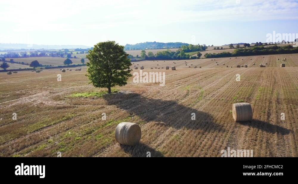 Farm land with straw bales Stock Videos & Footage - HD and 4K Video ...