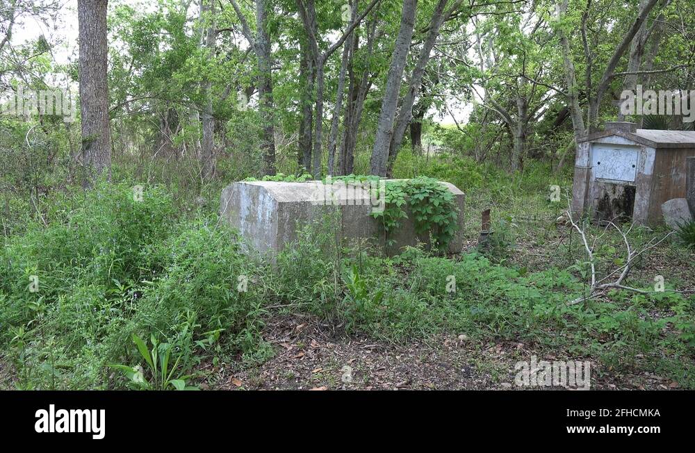 Wood tomb Stock Videos & Footage - HD and 4K Video Clips - Alamy