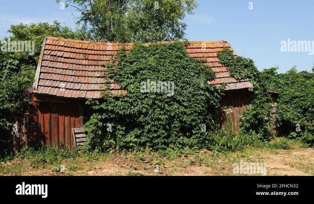 Abandoned shack sad building Stock Videos & Footage - HD and 4K Video ...