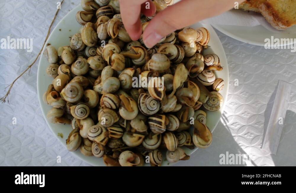 Escargot cooked snail Stock Videos & Footage - HD and 4K Video Clips ...