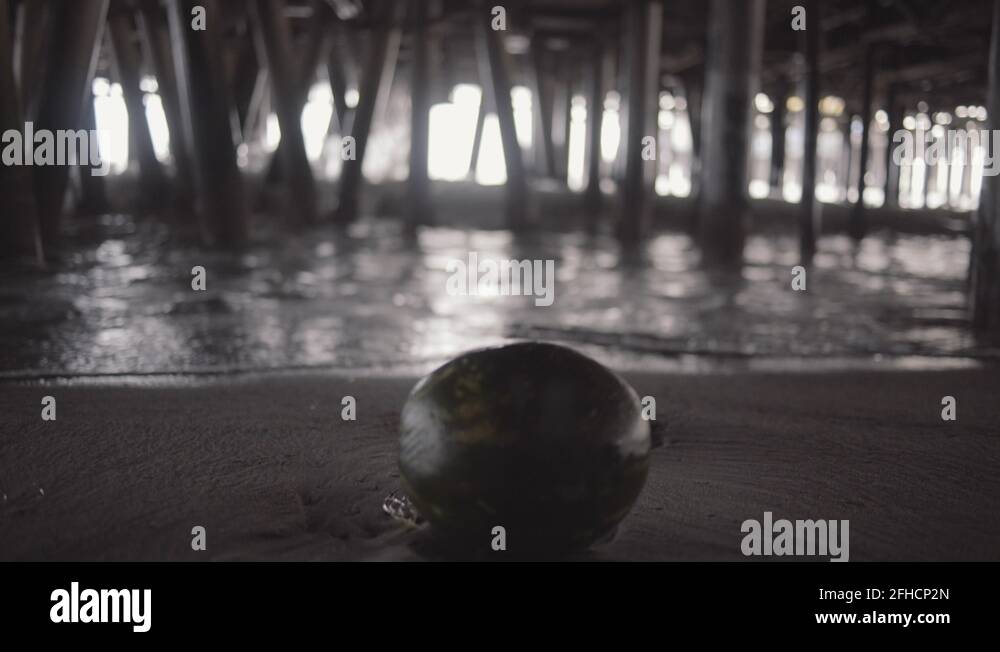 Watermelon under the sea Stock Videos & Footage - HD and 4K Video Clips ...