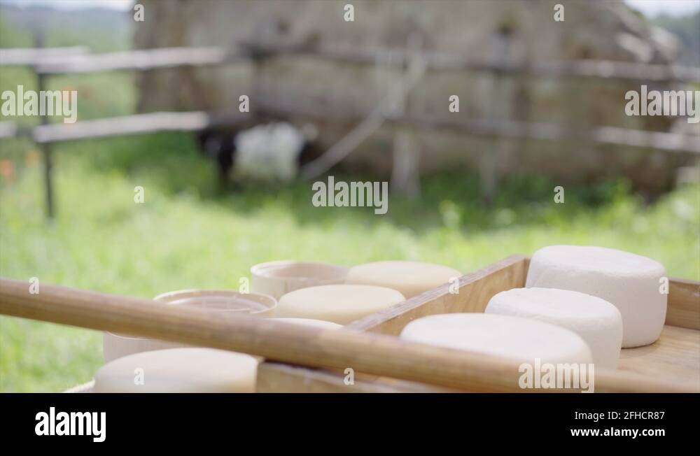 Swiss cheese wheel Stock Videos & Footage - HD and 4K Video Clips - Alamy