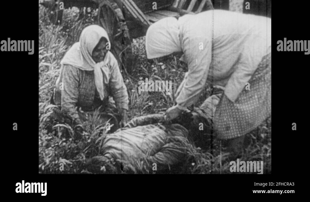 Dead women killed Stock Videos & Footage - HD and 4K Video Clips - Alamy