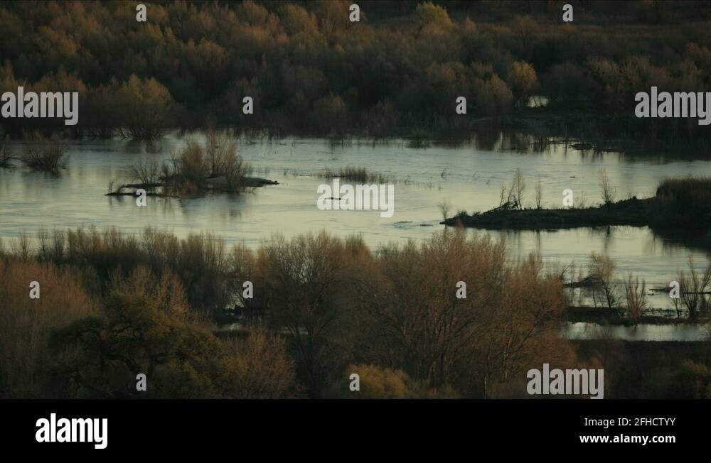 Freshwater basin Stock Videos & Footage - HD and 4K Video Clips - Alamy