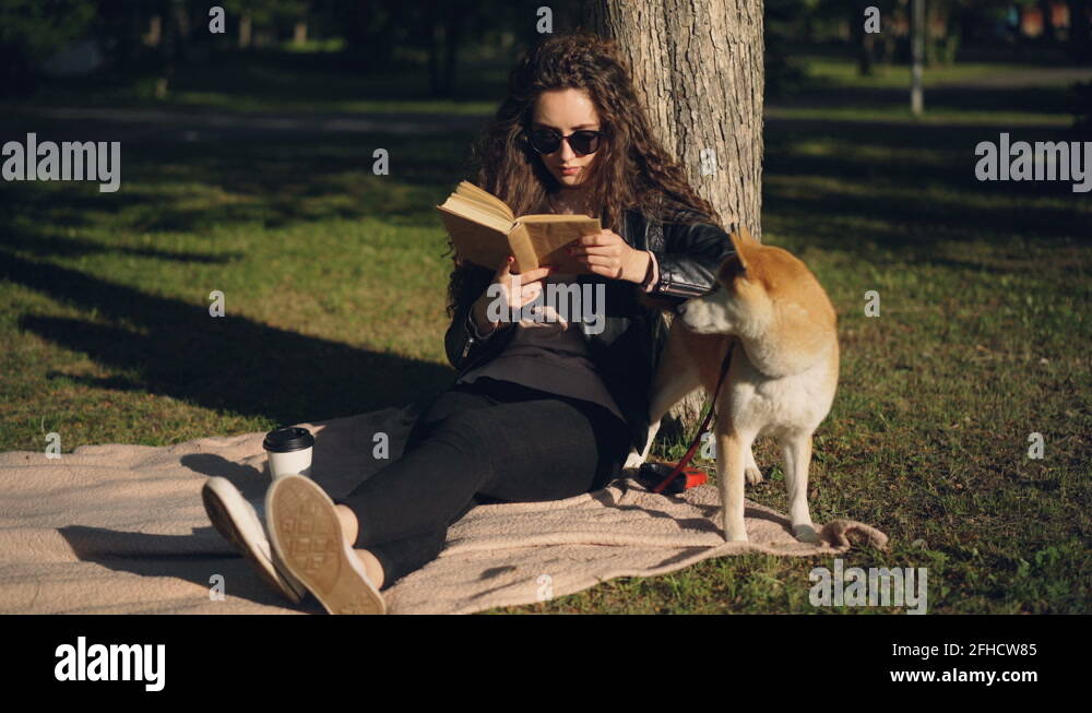 Woman reading under tree beautiful Stock Videos & Footage - HD and 4K ...