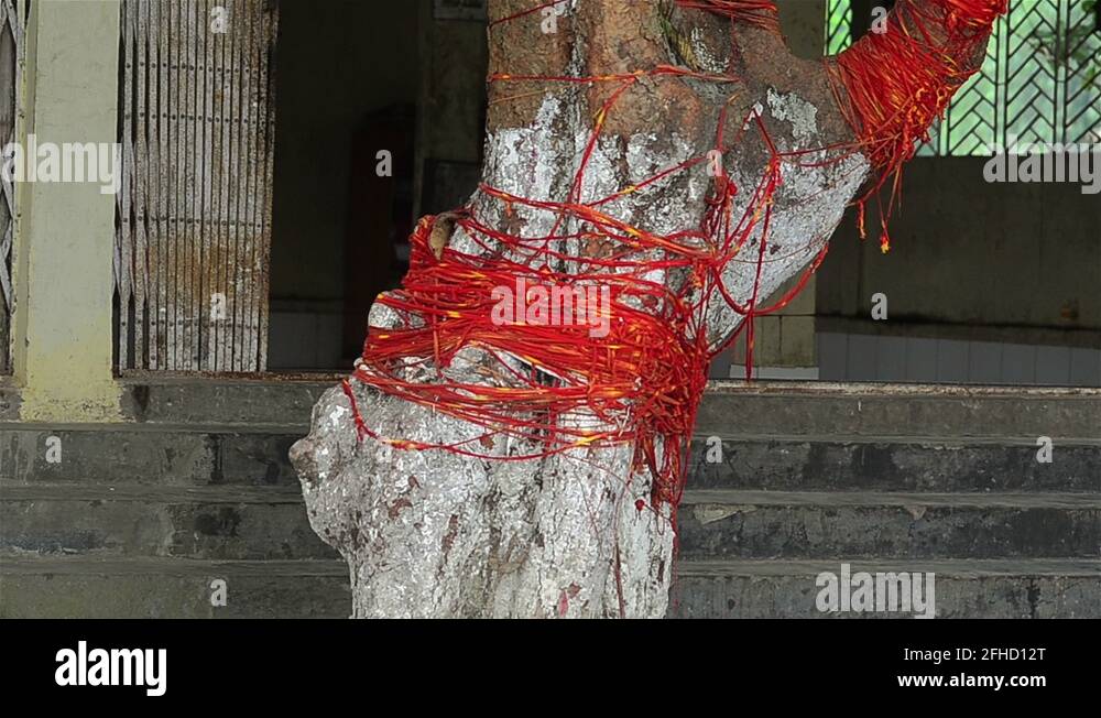 Sacred thread india Stock Videos & Footage - HD and 4K Video Clips - Alamy