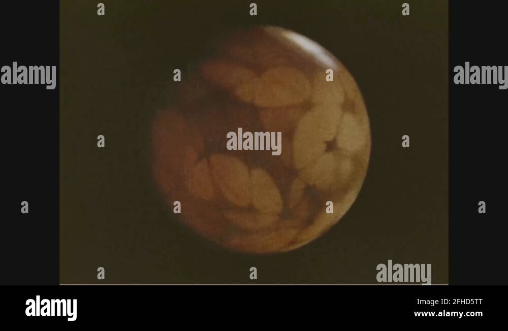 Adena Stock Videos & Footage - HD and 4K Video Clips - Alamy