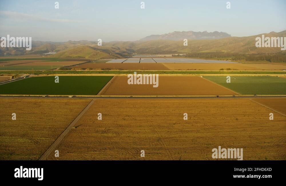 Fruit crops Stock Videos & Footage - HD and 4K Video Clips - Alamy