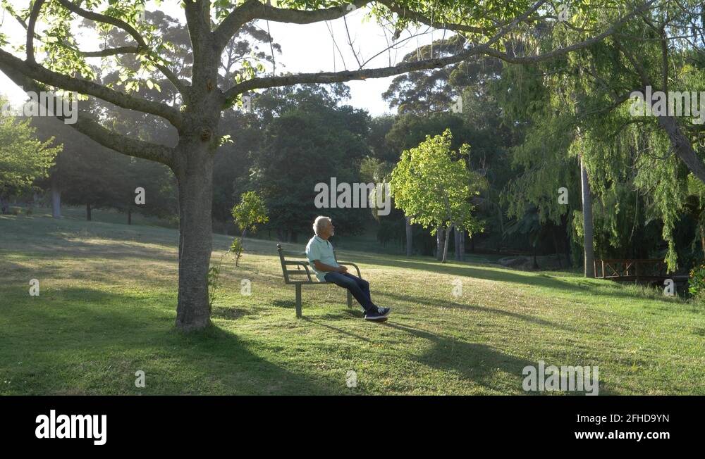 Senior citizen sitting on park bench Stock Videos & Footage - HD and 4K ...