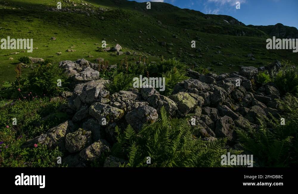 Paleolithic prehistory Stock Videos & Footage - HD and 4K Video Clips ...