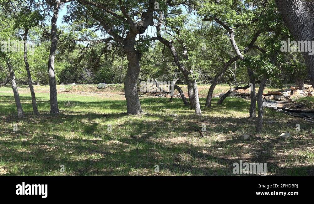 Texas hill country scenery Stock Videos & Footage - HD and 4K Video ...