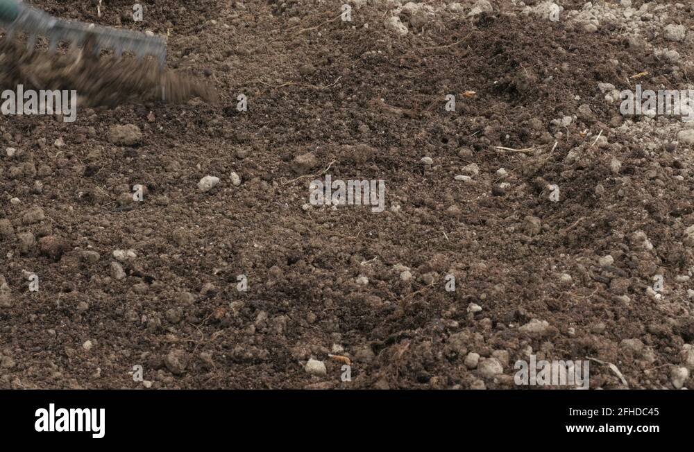 Rake soil Stock Videos & Footage - HD and 4K Video Clips - Alamy