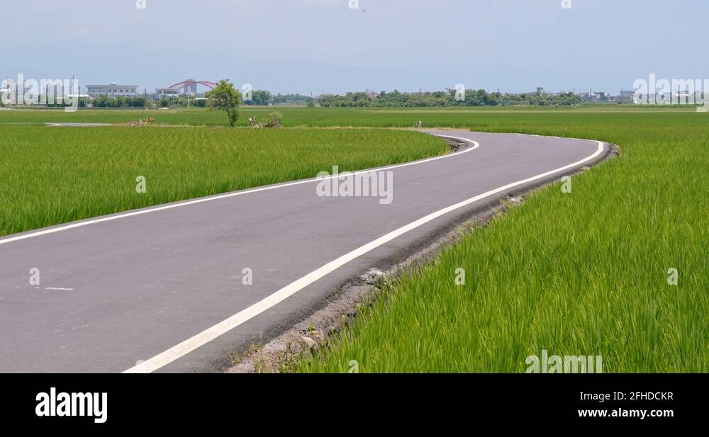 Paddy field road Stock Videos & Footage - HD and 4K Video Clips - Alamy