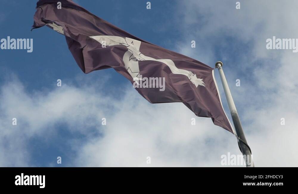 Eureka flag Stock Videos & Footage - HD and 4K Video Clips - Alamy