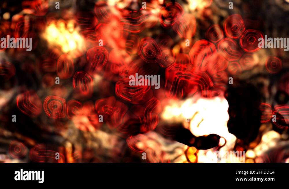 Blood inside body in microscopic scale Stock Video Footage - Alamy