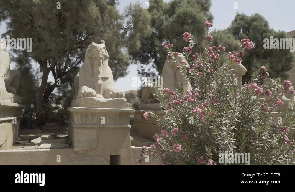 Luxor luxor temple Stock Videos & Footage - HD and 4K Video Clips - Alamy