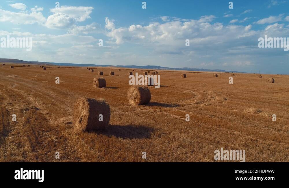 Harvesting hay straw wheat Stock Videos & Footage - HD and 4K Video ...