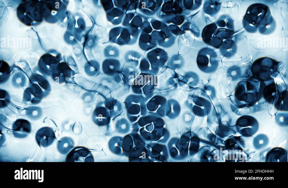 Biological scene in microscopic scale Stock Video Footage - Alamy