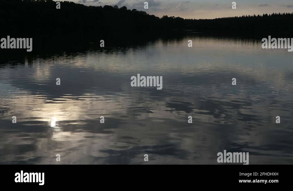 Rippling water and sun setting. Fish rising and woods behind the lake ...