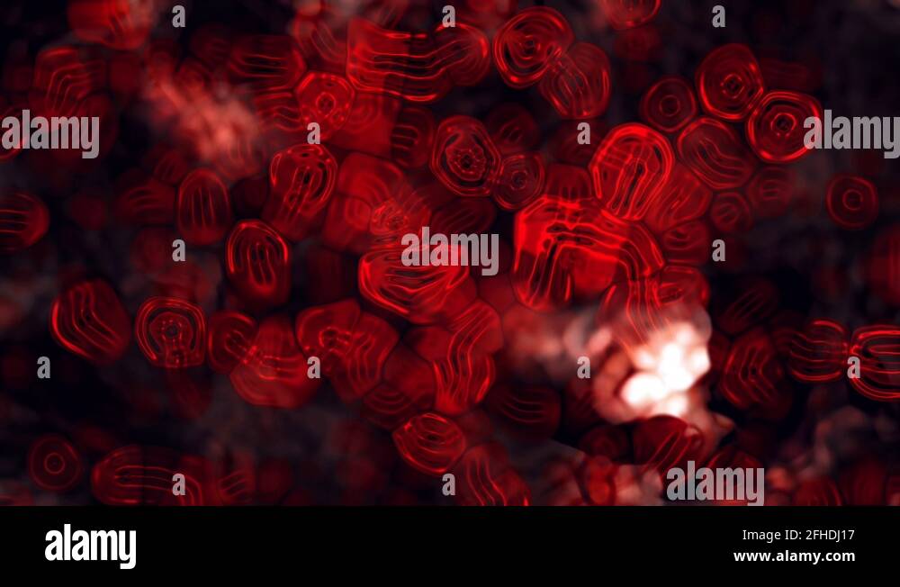 Blood inside body in microscopic scale Stock Video Footage - Alamy