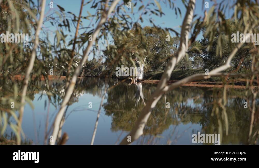 Outback exterior Stock Videos & Footage - HD and 4K Video Clips - Alamy