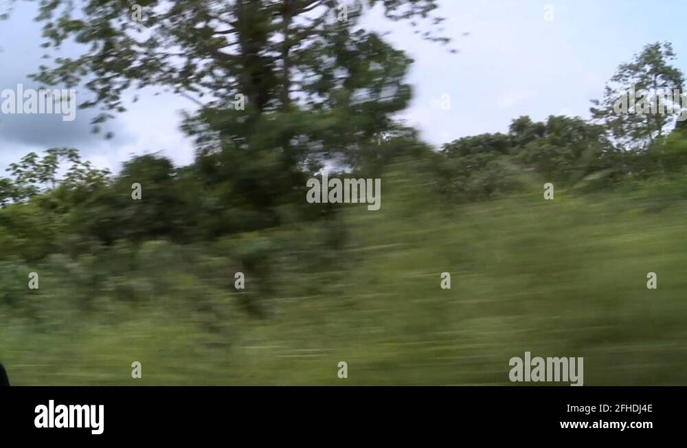 Equatorial forest Stock Videos & Footage - HD and 4K Video Clips - Alamy