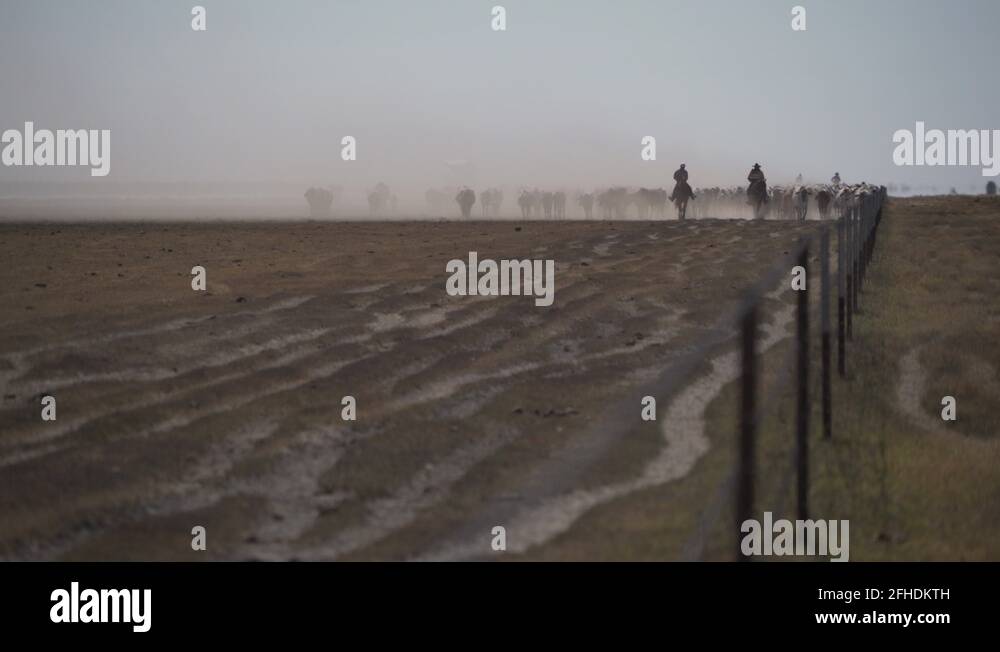 Cowboys on fence Stock Videos & Footage - HD and 4K Video Clips - Alamy