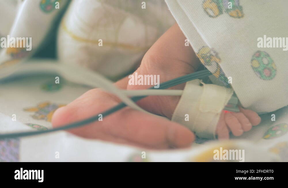 Premature baby feet Stock Videos & Footage - HD and 4K Video Clips - Alamy