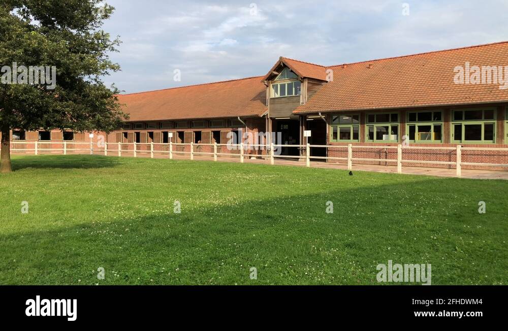 Horse club Stock Videos & Footage - HD and 4K Video Clips - Alamy