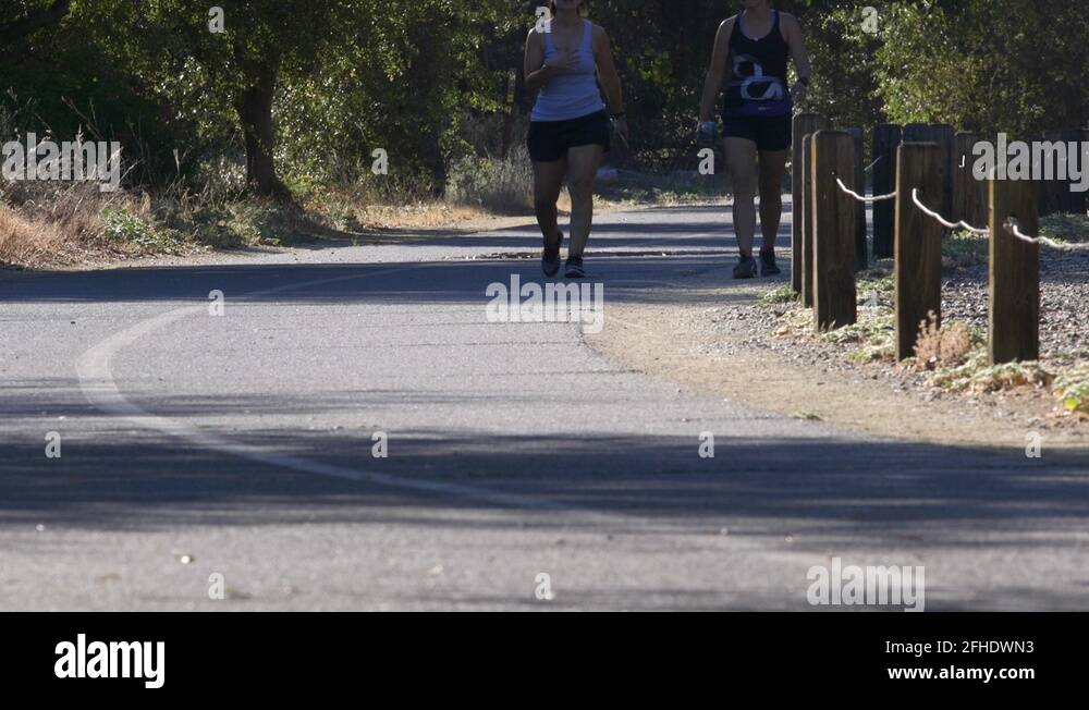 Walkers trail Stock Videos & Footage - HD and 4K Video Clips - Alamy