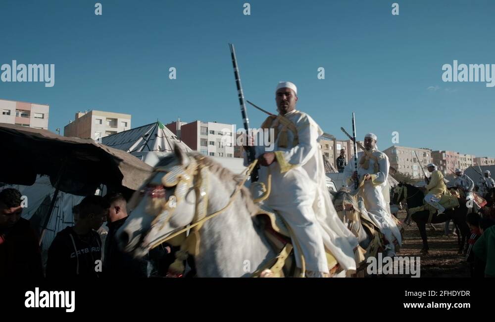 Fantasia horse festival Stock Videos & Footage - HD and 4K Video Clips ...