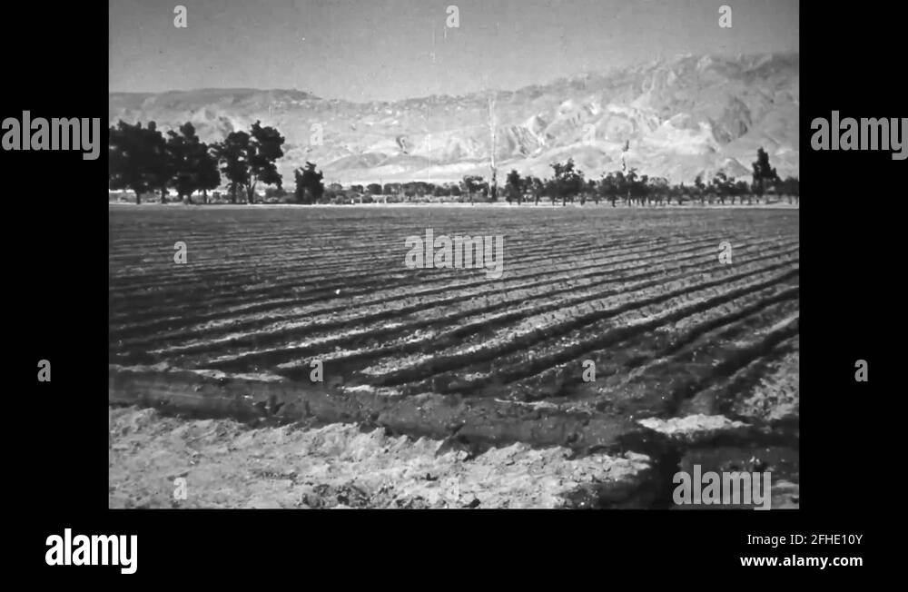 1942 ww2 Stock Videos & Footage - HD and 4K Video Clips - Alamy