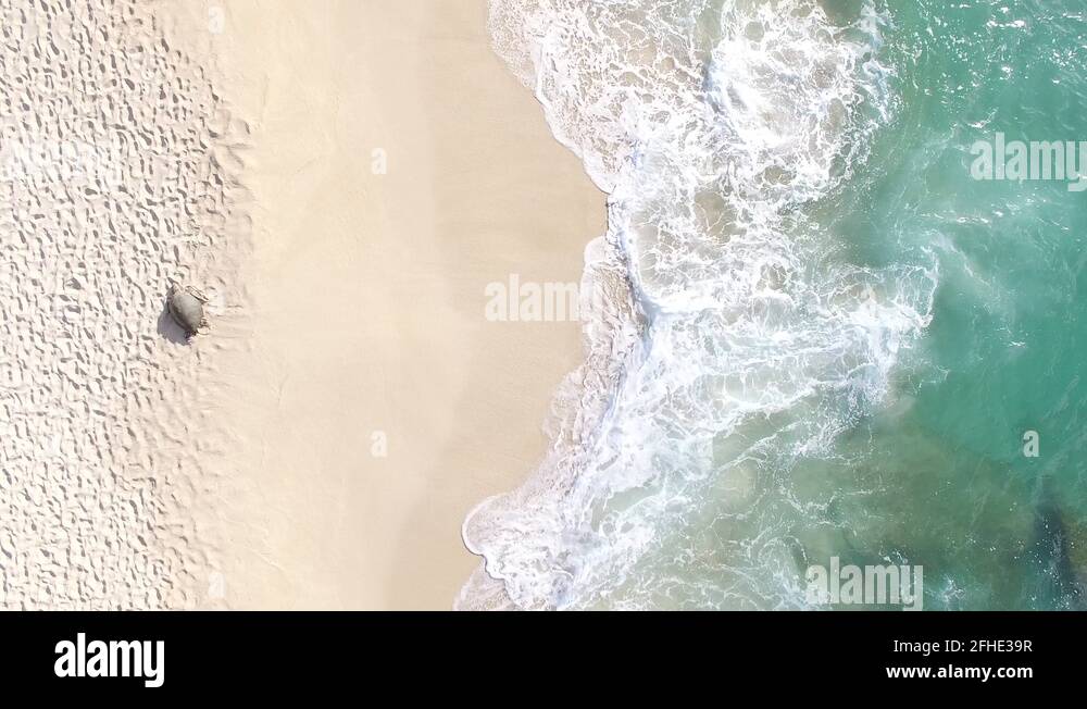Turtle beach Stock Videos & Footage - HD and 4K Video Clips - Alamy
