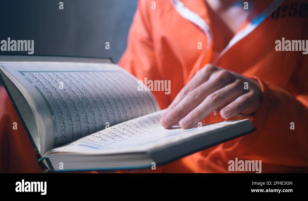 Reading prison cell Stock Videos & Footage - HD and 4K Video Clips - Alamy