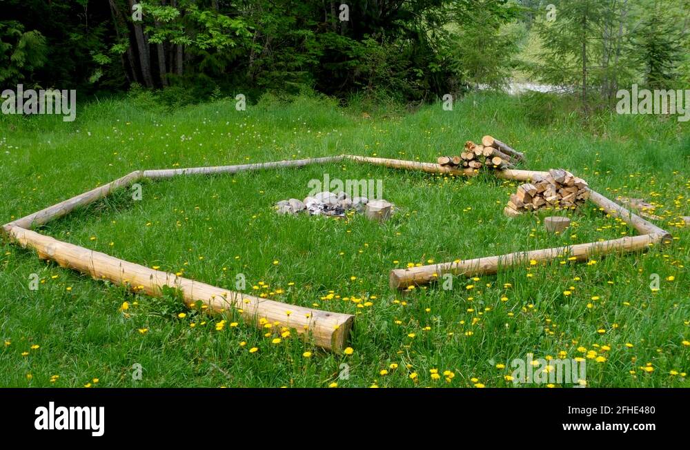 Camp Fire Nature Green Forest, Outdoor Campfire Fireplace Group Logs ...