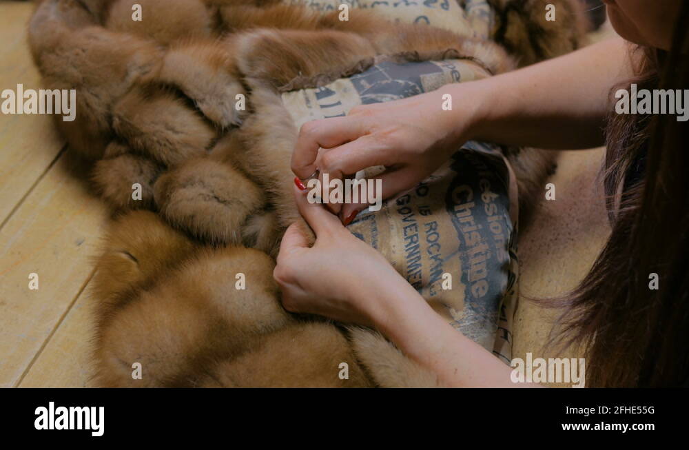 Hairy coat Stock Videos & Footage - HD and 4K Video Clips - Alamy