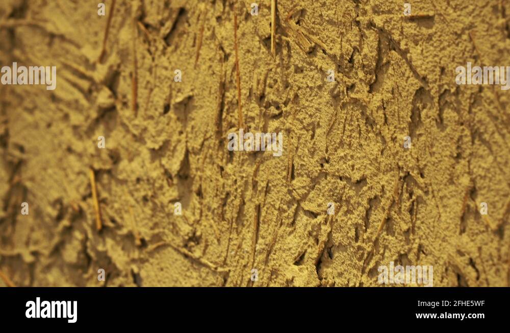 Sustainable agriculture texture Stock Videos & Footage - HD and 4K ...