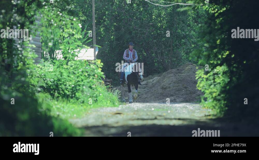 Horse rider equestrian path Stock Videos & Footage - HD and 4K Video ...