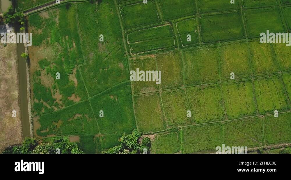 Top view top view Stock Videos & Footage - HD and 4K Video Clips - Alamy