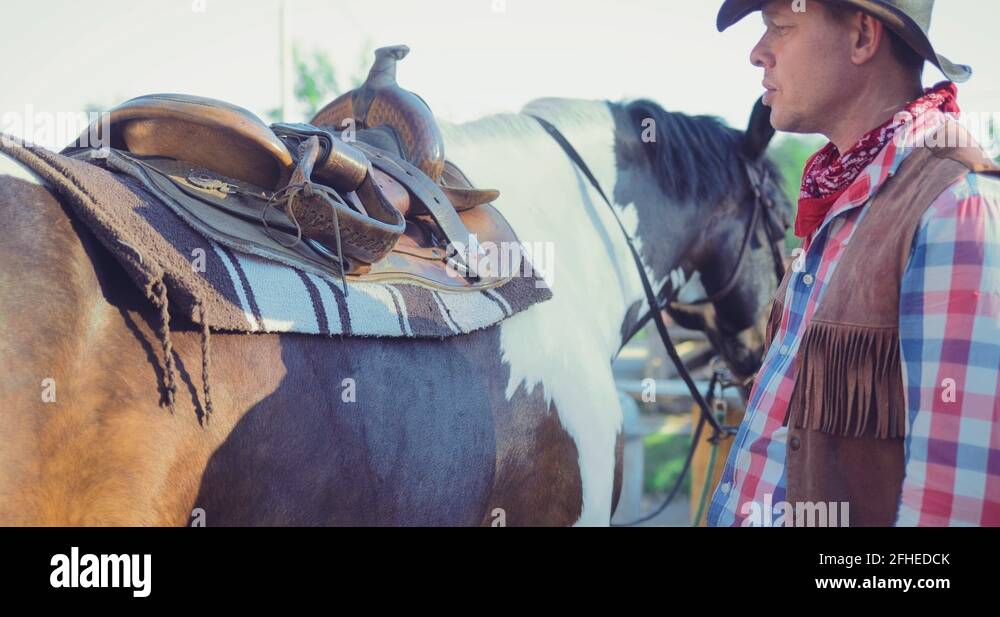 Cowboy rider fixes a saddle on the back of a horse Stock Video Footage ...