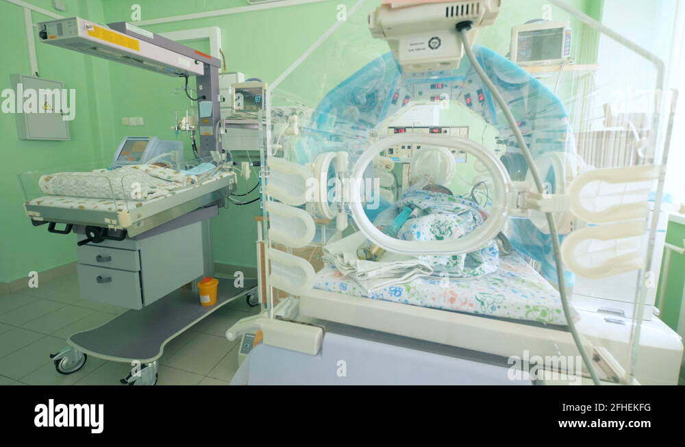 Newborn babies in hospital nursery Stock Videos & Footage - HD and 4K ...