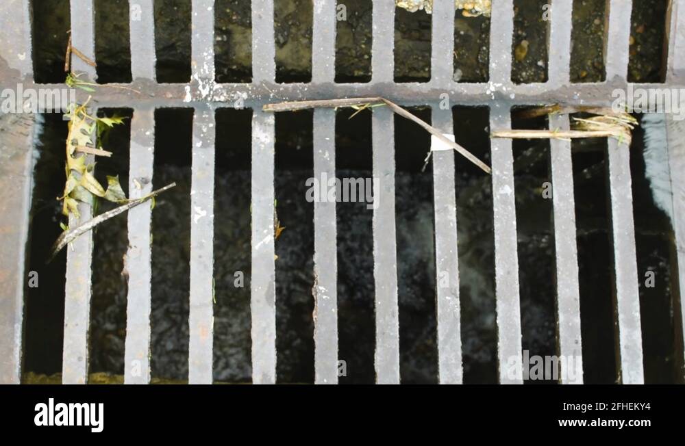 Cage falling Stock Videos & Footage - HD and 4K Video Clips - Alamy