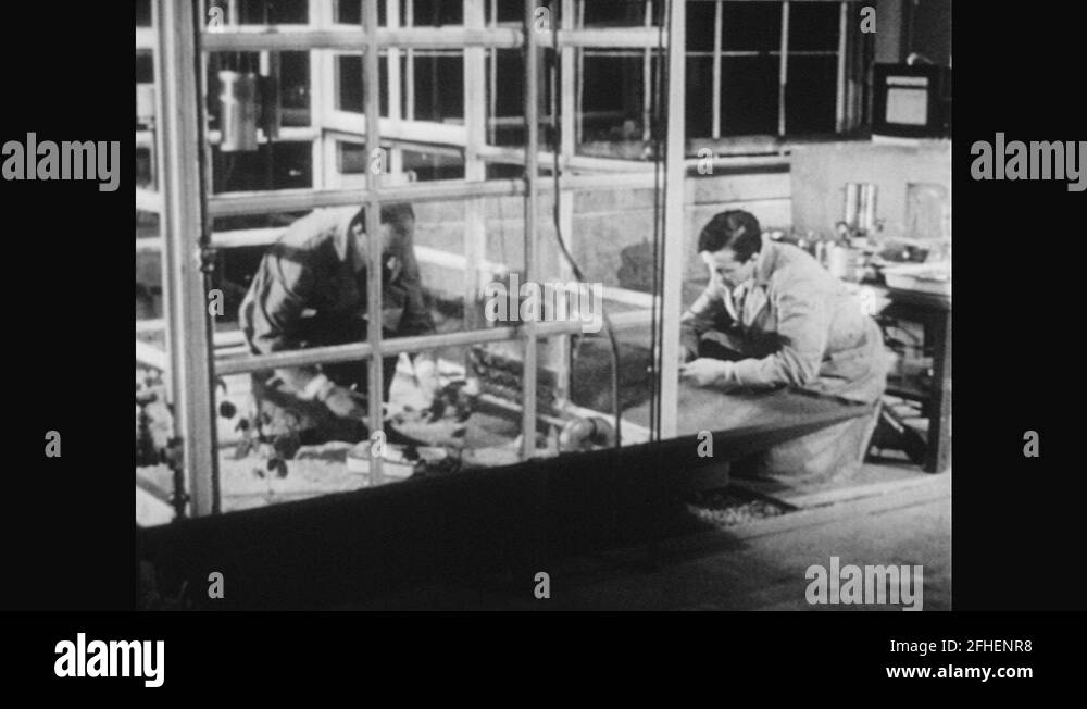 Beans nuclear Stock Videos & Footage - HD and 4K Video Clips - Alamy